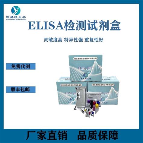 小鼠游离前列腺特异抗原f Psaelisa试剂盒特异性强