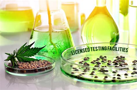Cannabis Testing Labs In Canada Extract Magazine