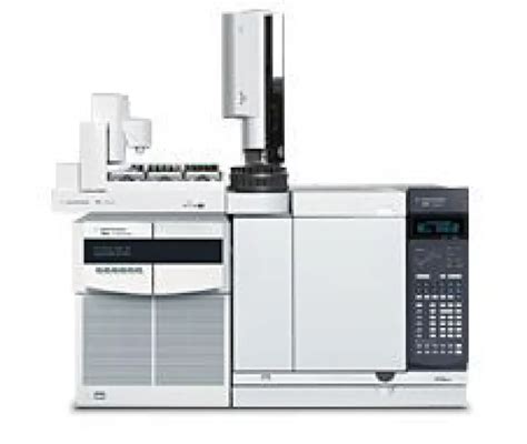 B Triple Quadrupole GC MS System