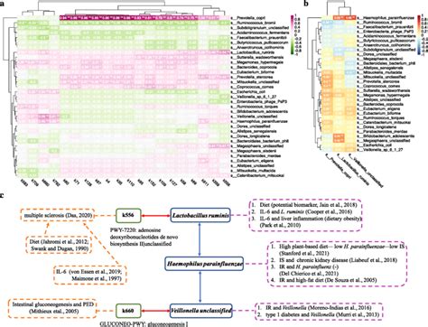 Biological Function Analysis Of Stool Microbiomes Of Bhopal And Kerala