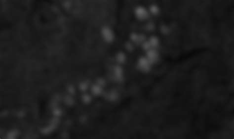 C How To Detect Light Spots In Image Stack Overflow