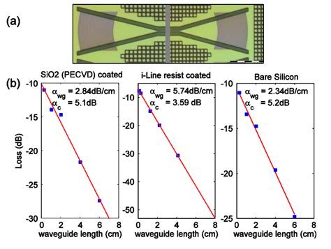 A The Input Output Curved Gratings B The Waveguide Loss Download Scientific Diagram