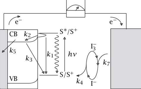 Schematic Representation Of The Kinetic Processes Occurring In A
