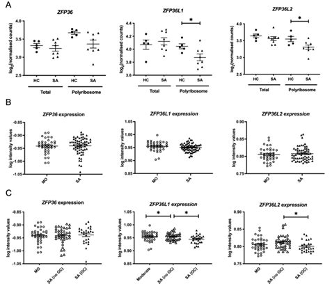 Analysis Of The Expression Of The TTP Family In Human Bronchial Download Scientific Diagram