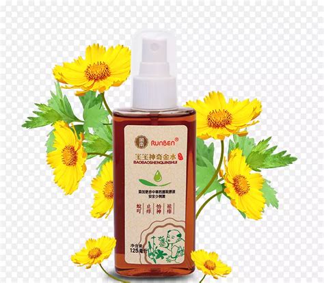 宝宝金水小雏菊绿叶PNG图片素材下载 图片编号qwjonmwy 免抠素材网