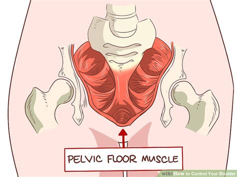 Ways To Control Your Bladder Wikihow