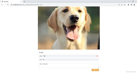 Java项目校园相册管理系统javassmhtmlbootstraplayuimysqljava相册管理与查看 Csdn博客