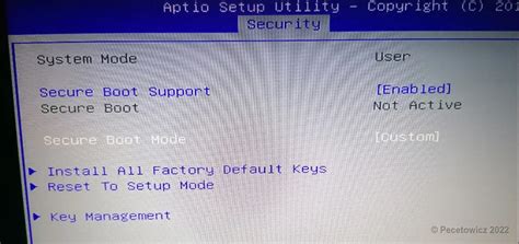 Faceit Secure Boot At Tara Brothers Blog