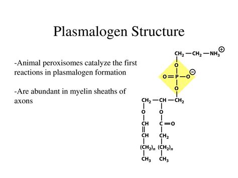 Intracellular Compartments And Protein Sorting Ppt Download