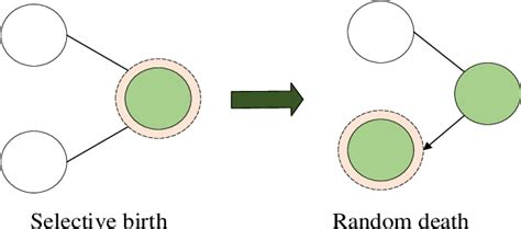 Figure 6 From Modeling Of Project Portfolio Risk Evolution And Response Under The Influence Of