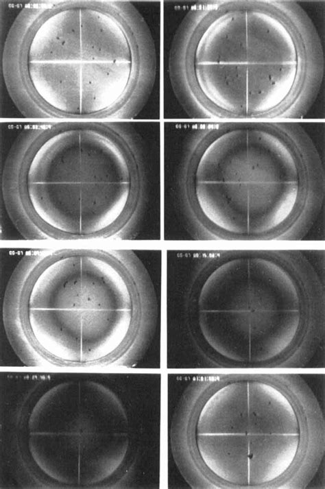 Photographs Showing The Evolution Of The Colour Patterns In Experiment