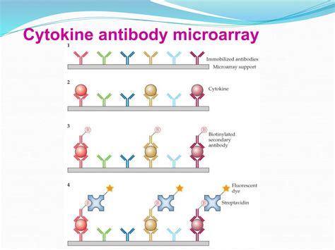 2d Mass Spectrometry And Microarray Techniques Ppt