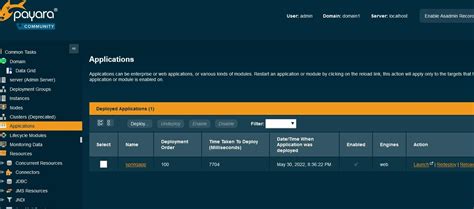 java spring boot jdk11 maven web app cannot run in payara server full 5 2022 2 jdk11 docker
