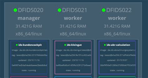 Add A Swarm Visualization · Issue 407 · Swarmpitswarmpit · Github