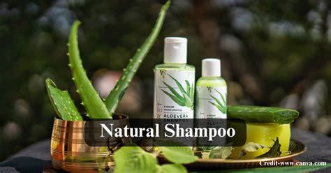 Top 5 Natural Shampoos