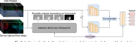 Human Visual Attention Prediction Boosts Learning And Performance Of Autonomous Driving Agents