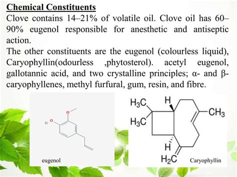 4 Volatile Oils Pdf Gardening Home And Garden