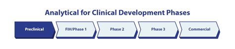 Analytical Strategies From Early Development To Validation Part One