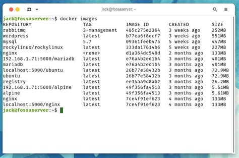 How To Use Rocky Linux As A Docker Container Image