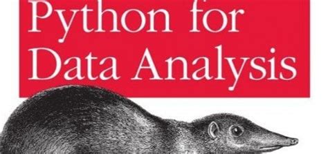 9 Python Analytics Libraries Rpython