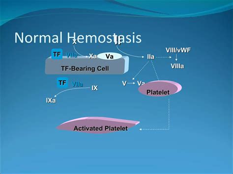 Emergency Warfarin Reversal A Ppt