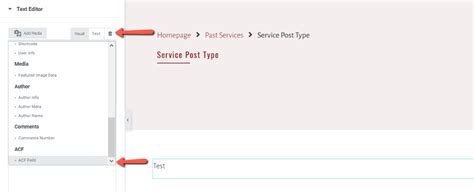 How To Dynamic Iframe Url In Elementor Scratch Code