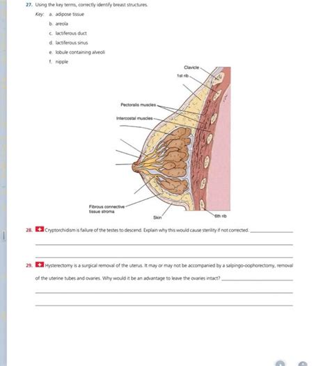 Solved 2 Identify All Indicated Structures Or Portions Of Chegg Com