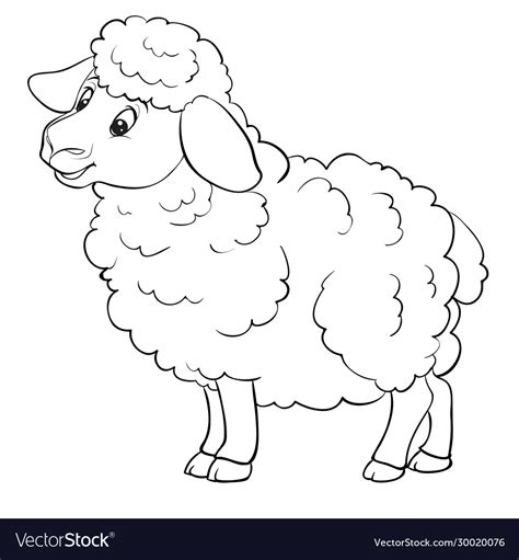 Sheep Drawing Outline