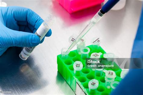 Closeup Of A Scientist Extracting Dna Using The Spin Columnbased