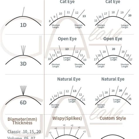 Lash Training New Trend Practice Way In 2023 Lash Mapping Dimension