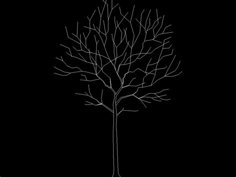Tree In Elevation 053 In AutoCAD CAD Download 16 88 KB Bibliocad