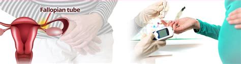 Hepatitis On Pregnancy Health Vision