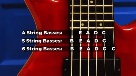 How To Tune A Bass Guitar Easy Step By Step Methods