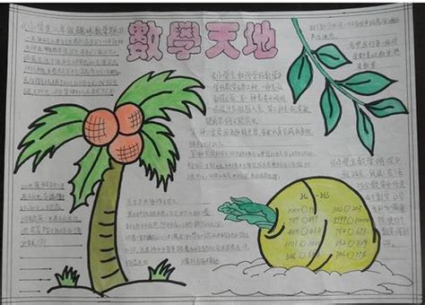 数学五年级小论文手抄报 小学五年级手抄报 普车都