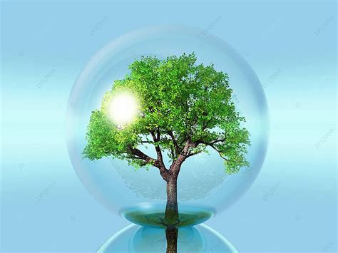 Green Tree In A Bubble Tree Campaign Increase Photo Background And Picture For Free Download