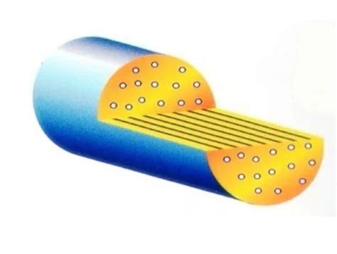 长纤维增强热塑性复合材料的产业化 北京大学 科技开发部