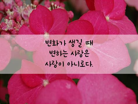 오늘의명언 사랑명언 좋은글귀 사랑글 사랑좋은글10월24일 오늘의 명언은 사랑에대한 좋은 글 명언들을 모 좋은 글귀