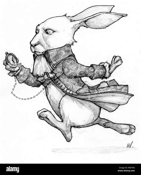 Tim Burton Alice In Wonderland Rabbit Drawings