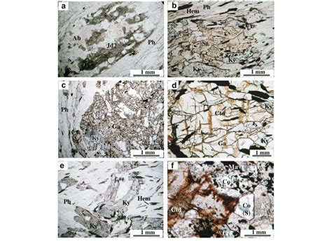 Photomicrographs Showing Representative Mineral Assemblages And