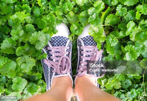 푸른 잔디에 물방울 무늬 운동화를 신은 여성의 다리 평면도 복사본 Spase 개념에 대한 스톡 사진 및 기타 이미지 개념 녹색 다리 신체 부분 Istock