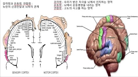 뇌파의 발생 원리 측정 방법과 응용 한양대학교 주르미 Youtube
