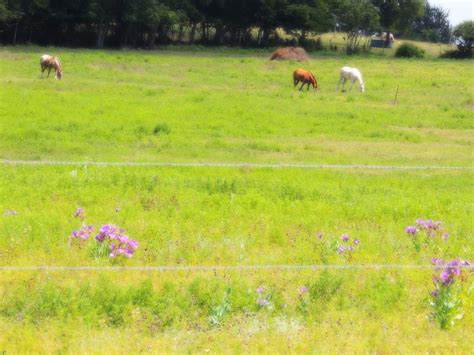 Elevation Of Grimes County Tx Usa Topographic Map Altitude Map