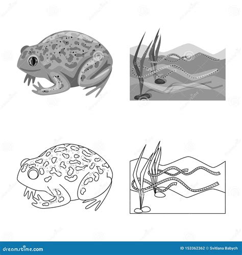 Isolated Object Of Wildlife And Bog Logo Collection Of Wildlife And Reptile Vector Icon For