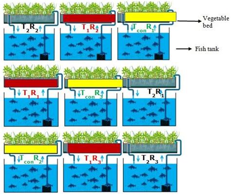 Aquaponics System Design Plans Blueprints