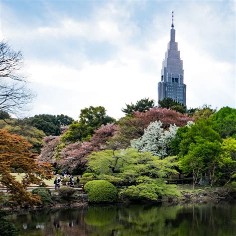 The Best Japanese Gardens And Parks In Tokyo Meet The Cities