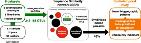 Beyond The Limits Of The Unassigned Protist Microbiome Inferring Large Scale Spatio Temporal