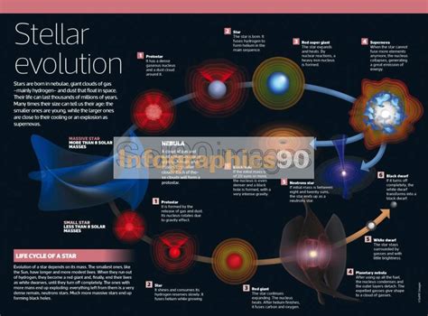 Infographics Stellar Evolution Infographics90