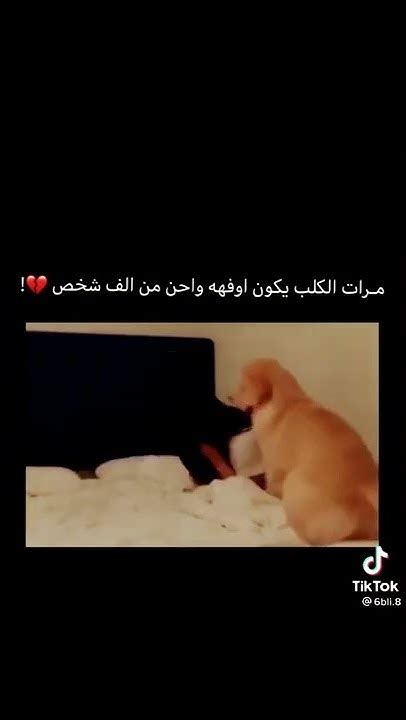 بنت حزينه Youtube
