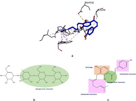The Binding Mode Of Xa With α Glucosidase In 3d A Common Download Scientific Diagram