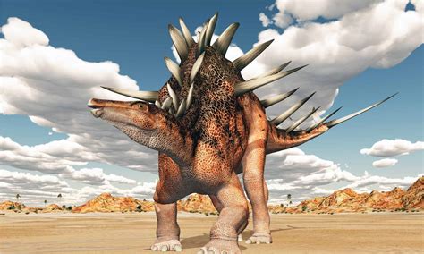 Kentrosaurus Dinosaur